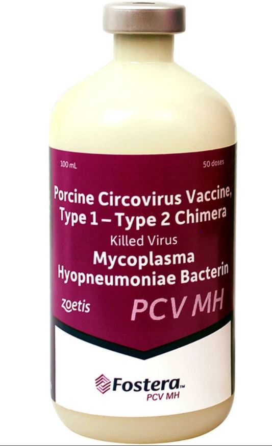 FOSTERA PCV MH (Vắc Xin Circo + Suyễn) - PHÂN PHỐI THUỐC THÚ Y HOÀN TỐ