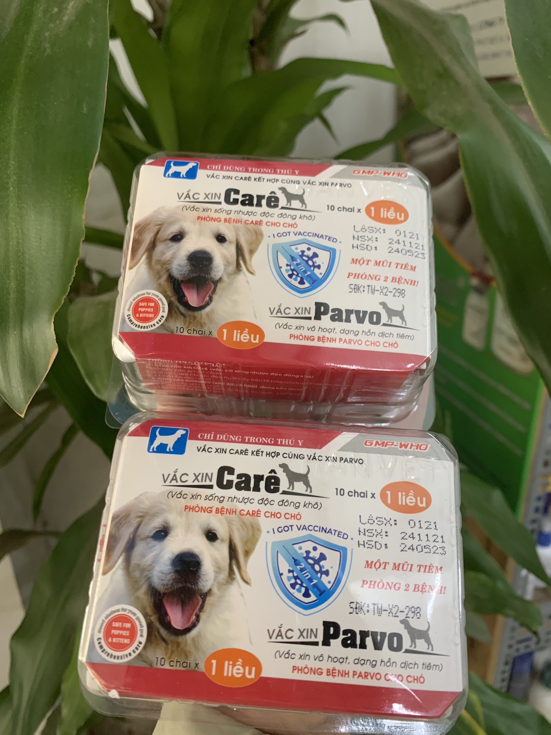 Vắc xin Care + Parvo cho Chó - PHÂN PHỐI THUỐC THÚ Y HOÀN TỐ
