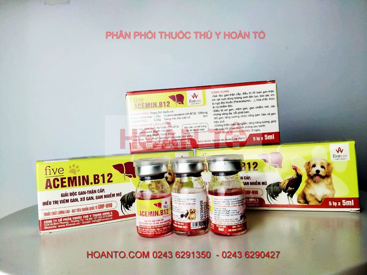 Five-Acemin B12 (Giải Độc Gan-Thận Cấp) - PHÂN PHỐI THUỐC THÚ Y HOÀN TỐ